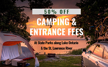 Campgrounds and Camping Reservations - New York State Parks