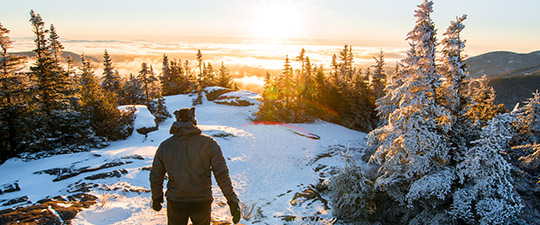 Campgrounds and Camping Reservations - New York State Parks