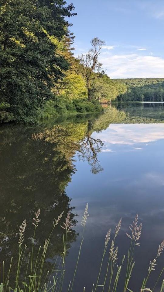 Campground Details - BEAR SPRING MOUNTAIN, NY - New York State Parks