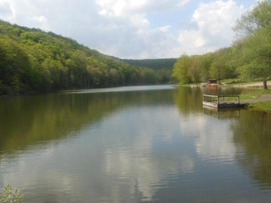 Campground Details - BEAR SPRING MOUNTAIN, NY - New York State Parks