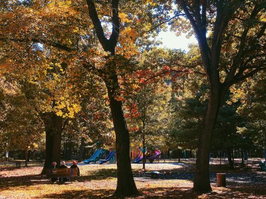 Campground Details - Valley Stream State Park, NY - New York State Parks