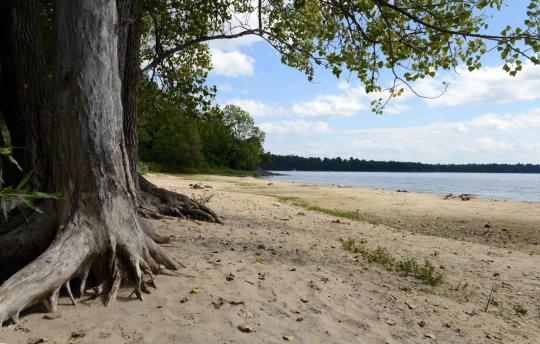 Campground Details - Point Au Roche State Park, NY - New York State Parks