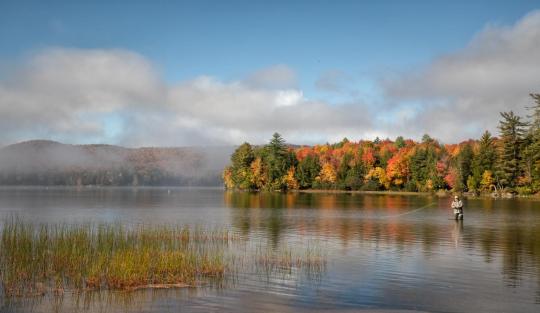 Campground Details - LAKE EATON CAMPGROUND, NY - New York State Parks