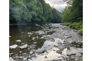 Campground Details - BEAVERKILL, NY - New York State Parks