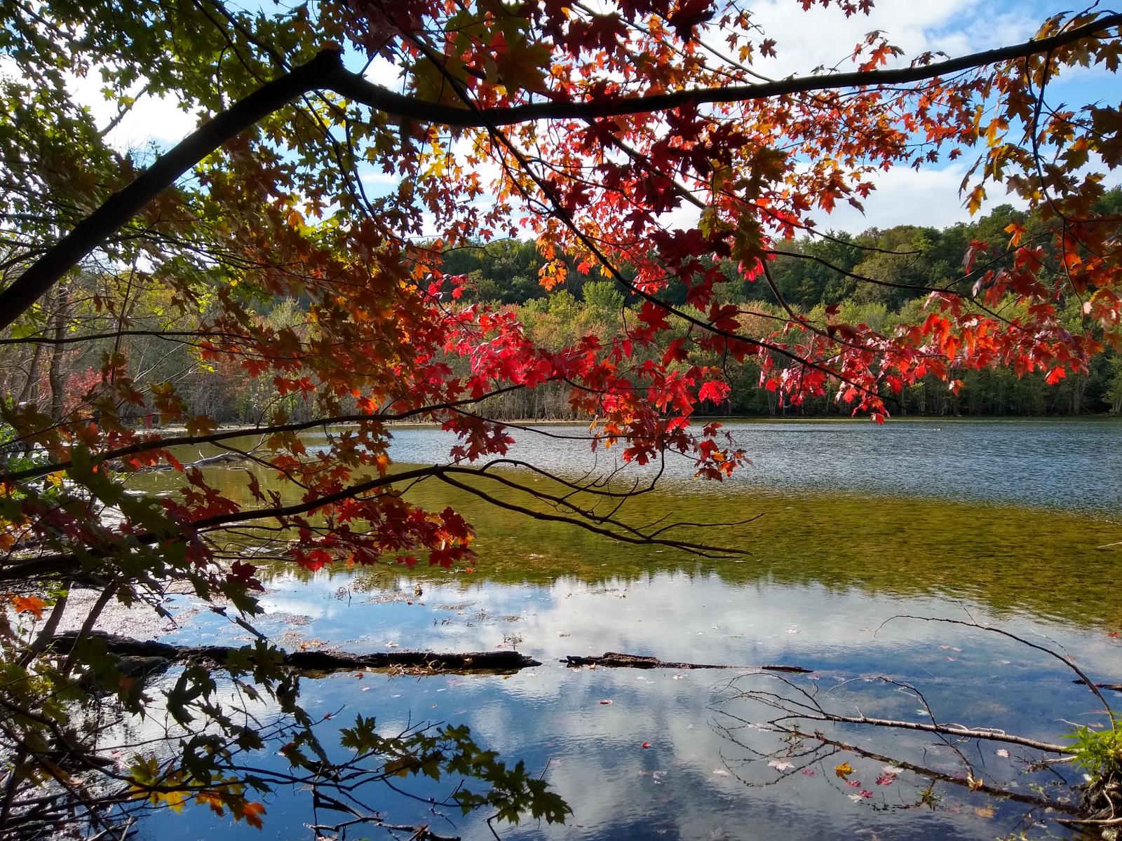 Campground Details - Clark Reservation State Park, NY - New York State ...