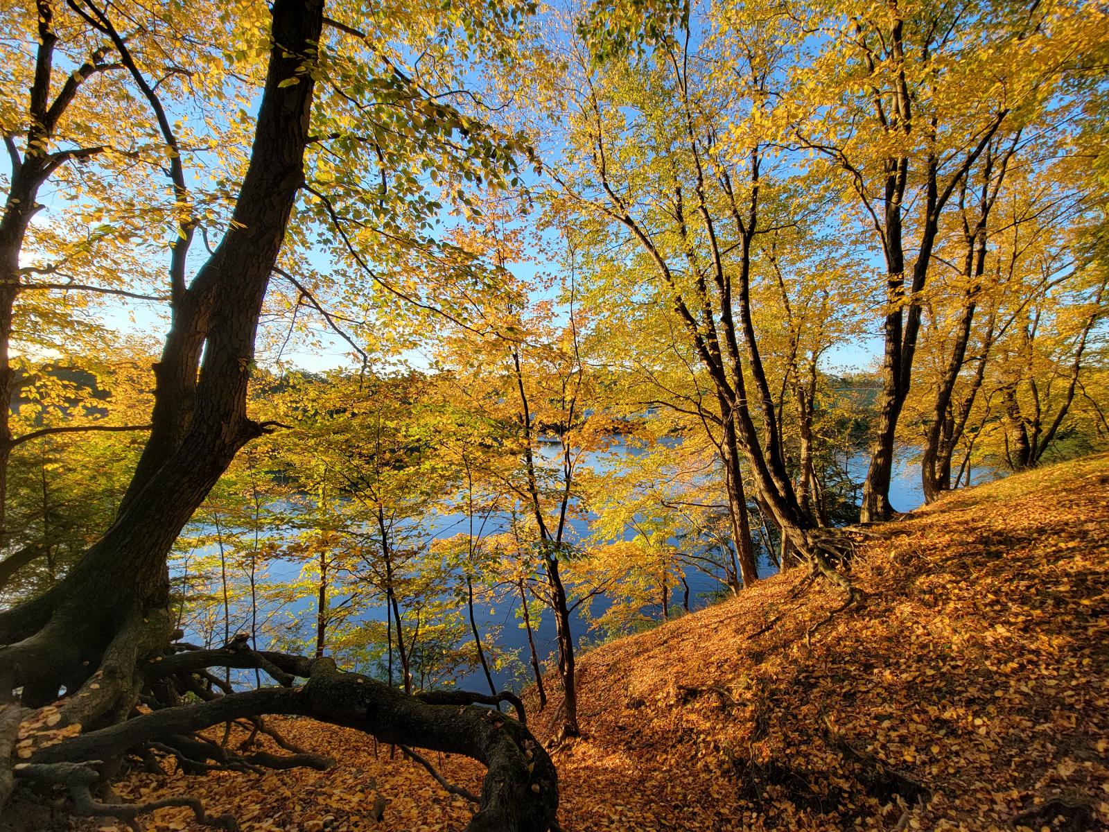 Campground Details - Peebles Island State Park, NY - New York State Parks