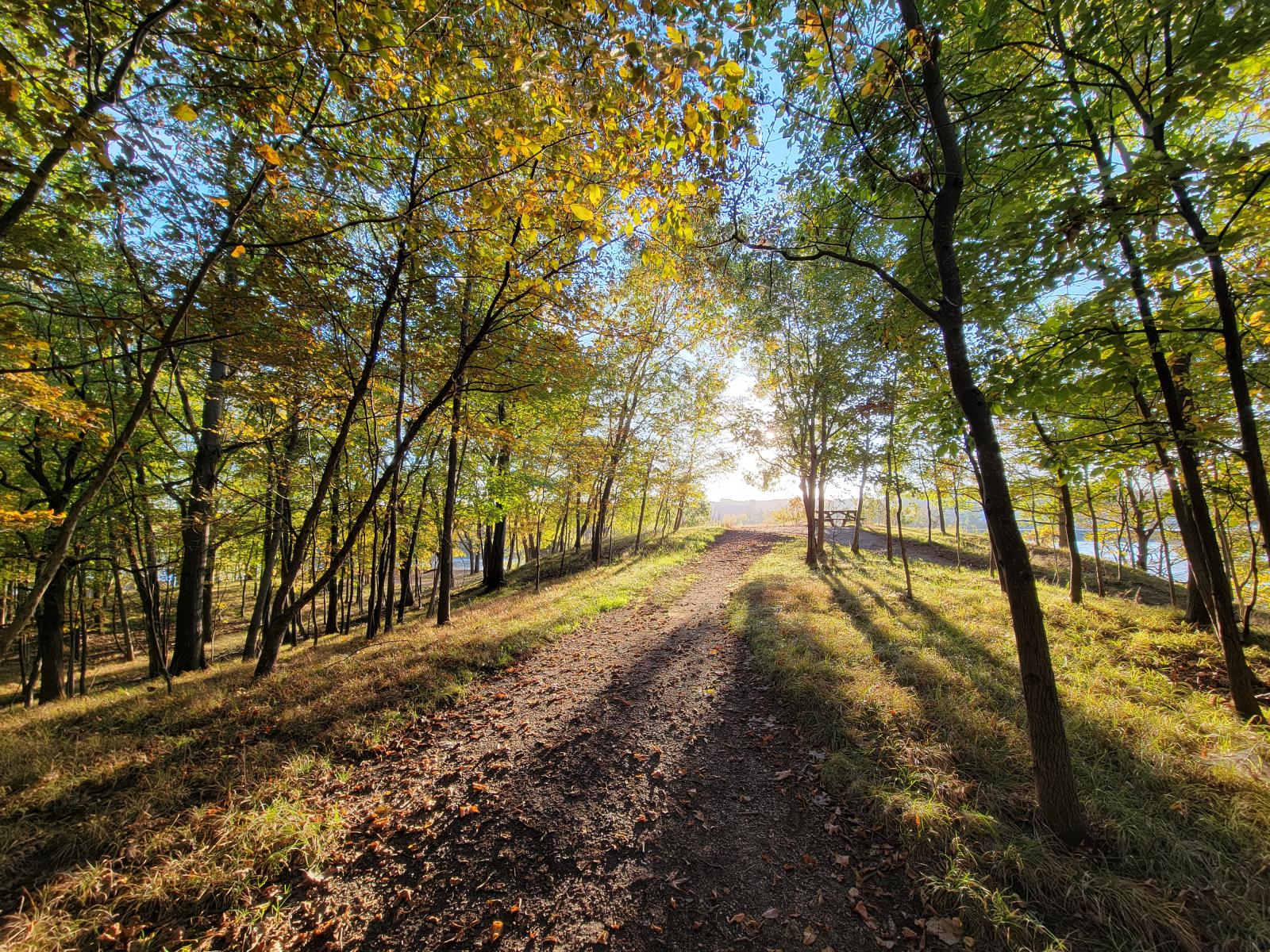 Campground Details - Peebles Island State Park, NY - New York State Parks