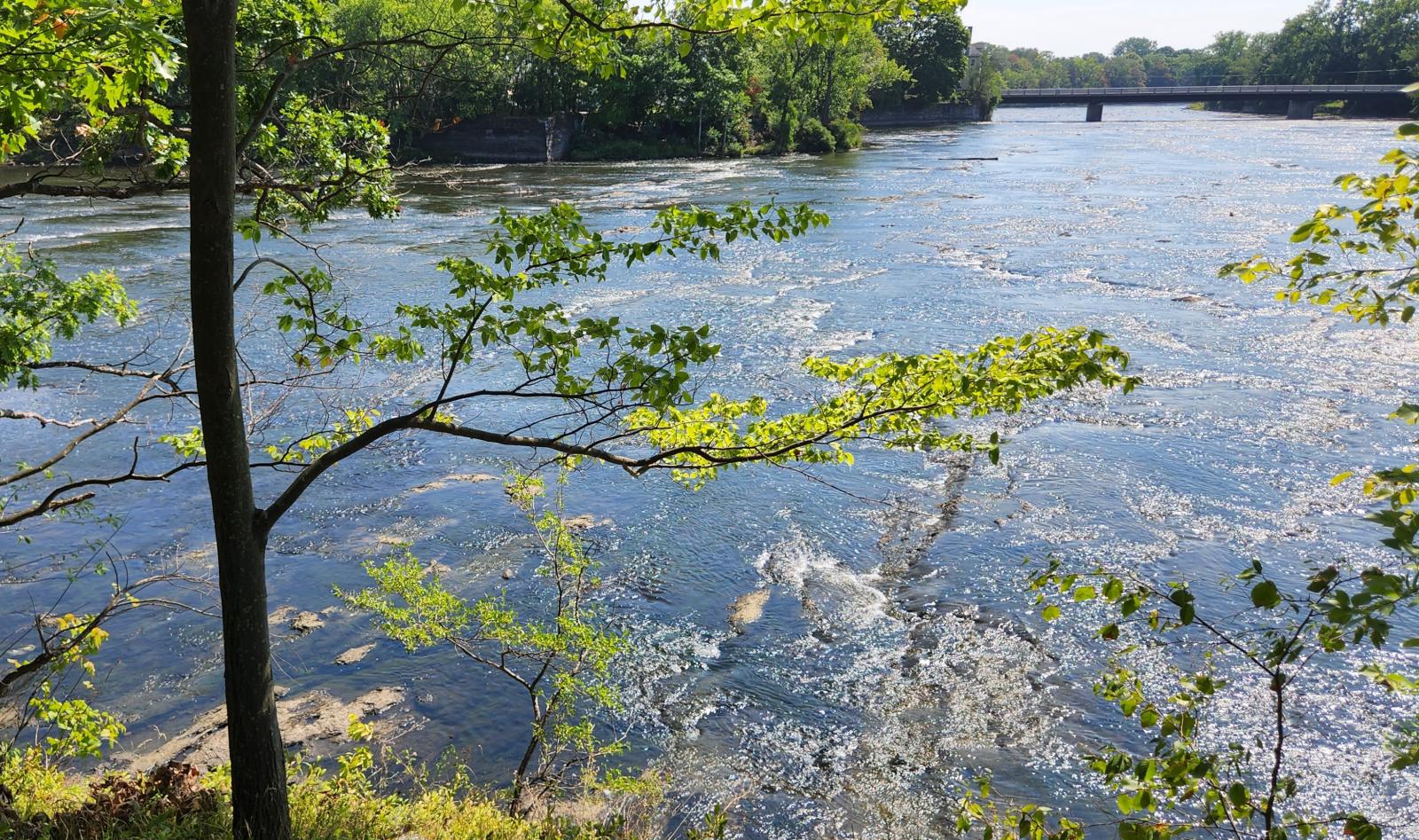 Campground Details - Peebles Island State Park, NY - New York State Parks