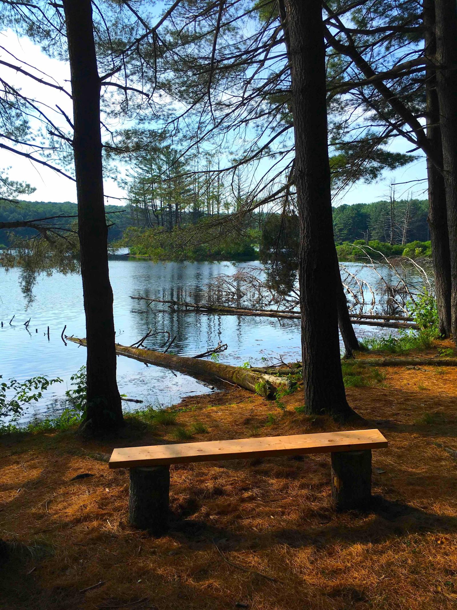 Campground Details - Stoney Pond State Forest Camping Area, NY - New ...