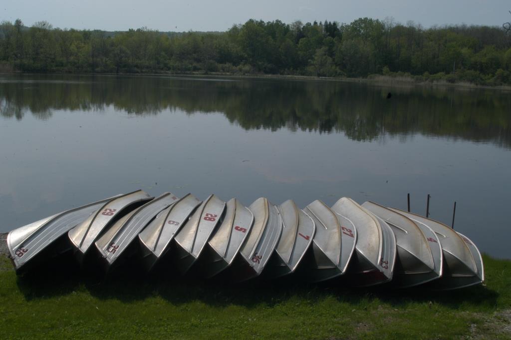 Campground Details - TACONIC STATE PARK (RUDD POND), NY - New York ...