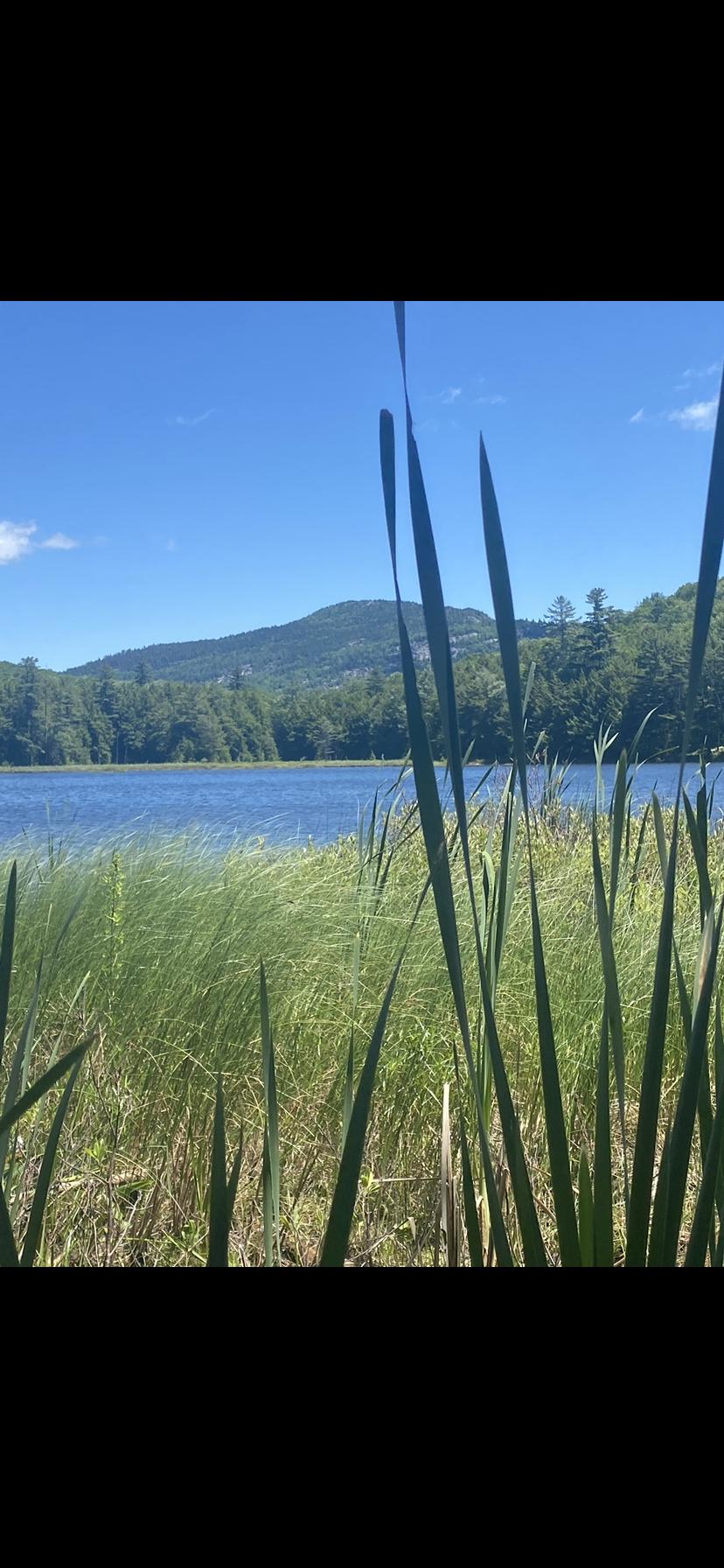 Campground Details - EAGLE POINT, NY - New York State Parks