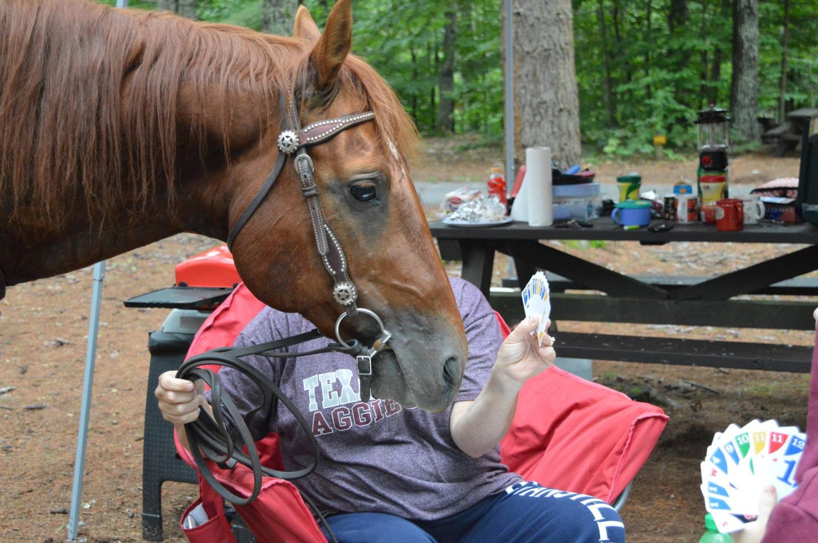 Campground Details - LUZERNE, NY - New York State Parks