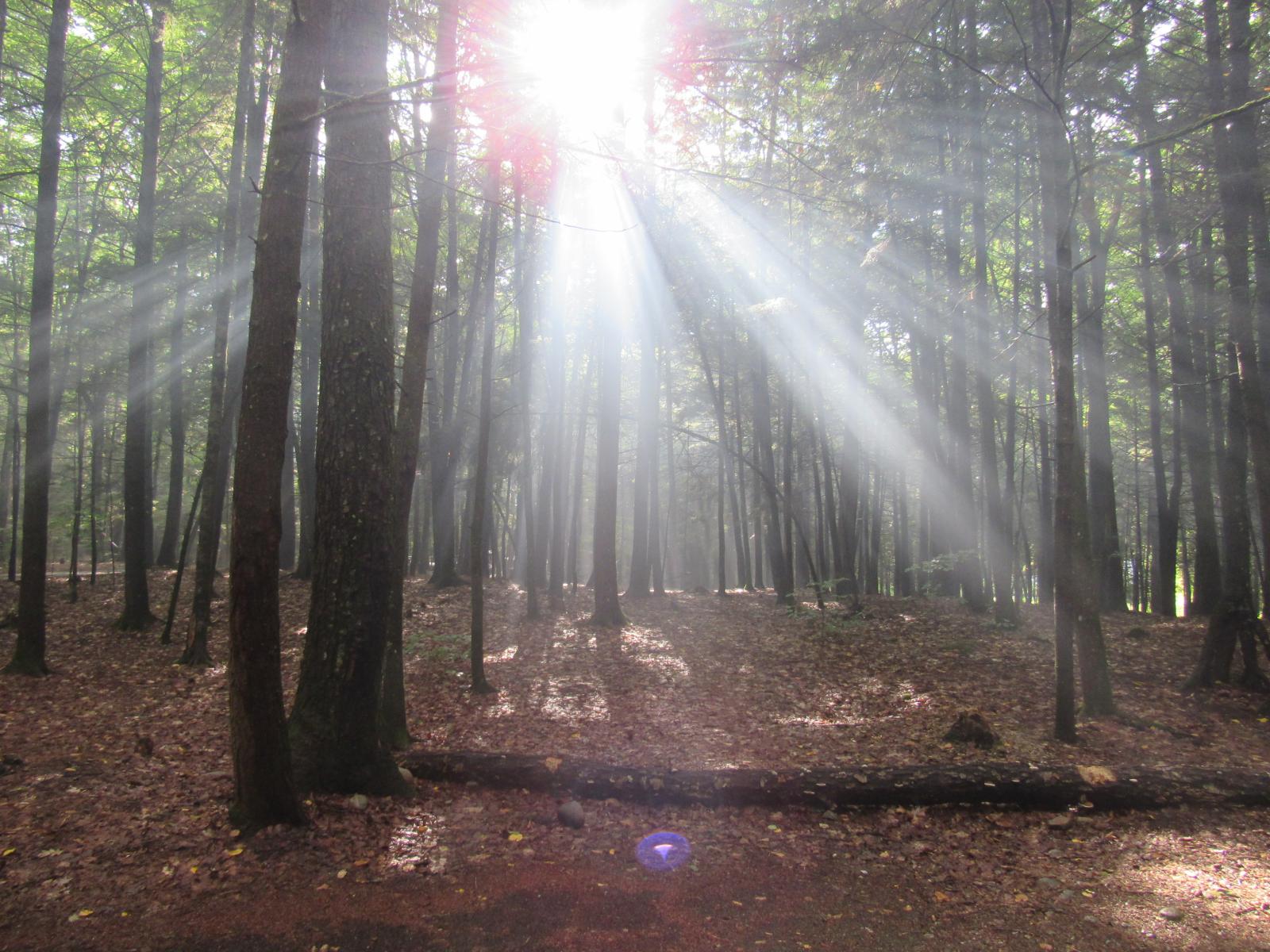 Campground Details - LUZERNE, NY - New York State Parks