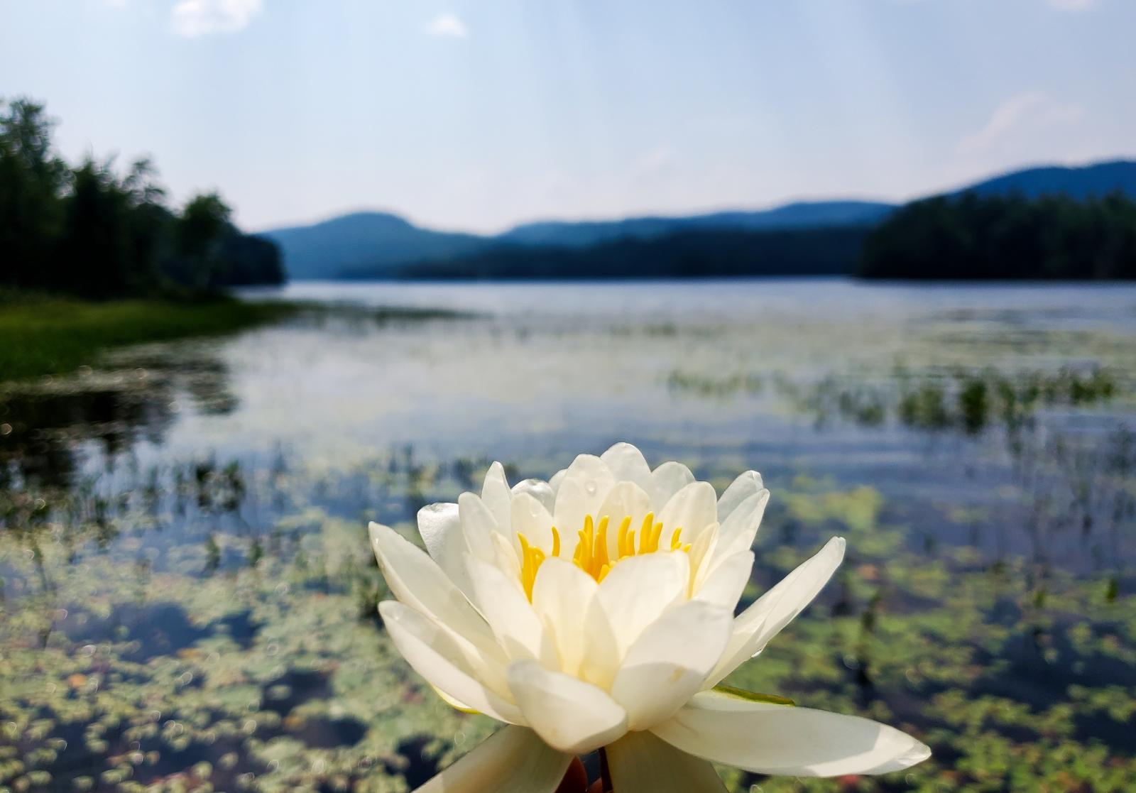 Campground Details - PUTNAM POND, NY - New York State Parks