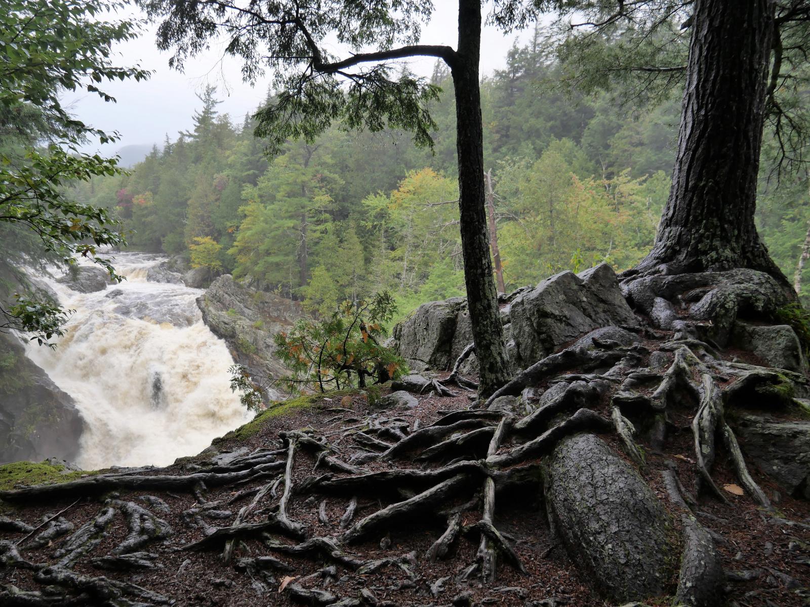 Campground Details - WILMINGTON NOTCH, NY - New York State Parks
