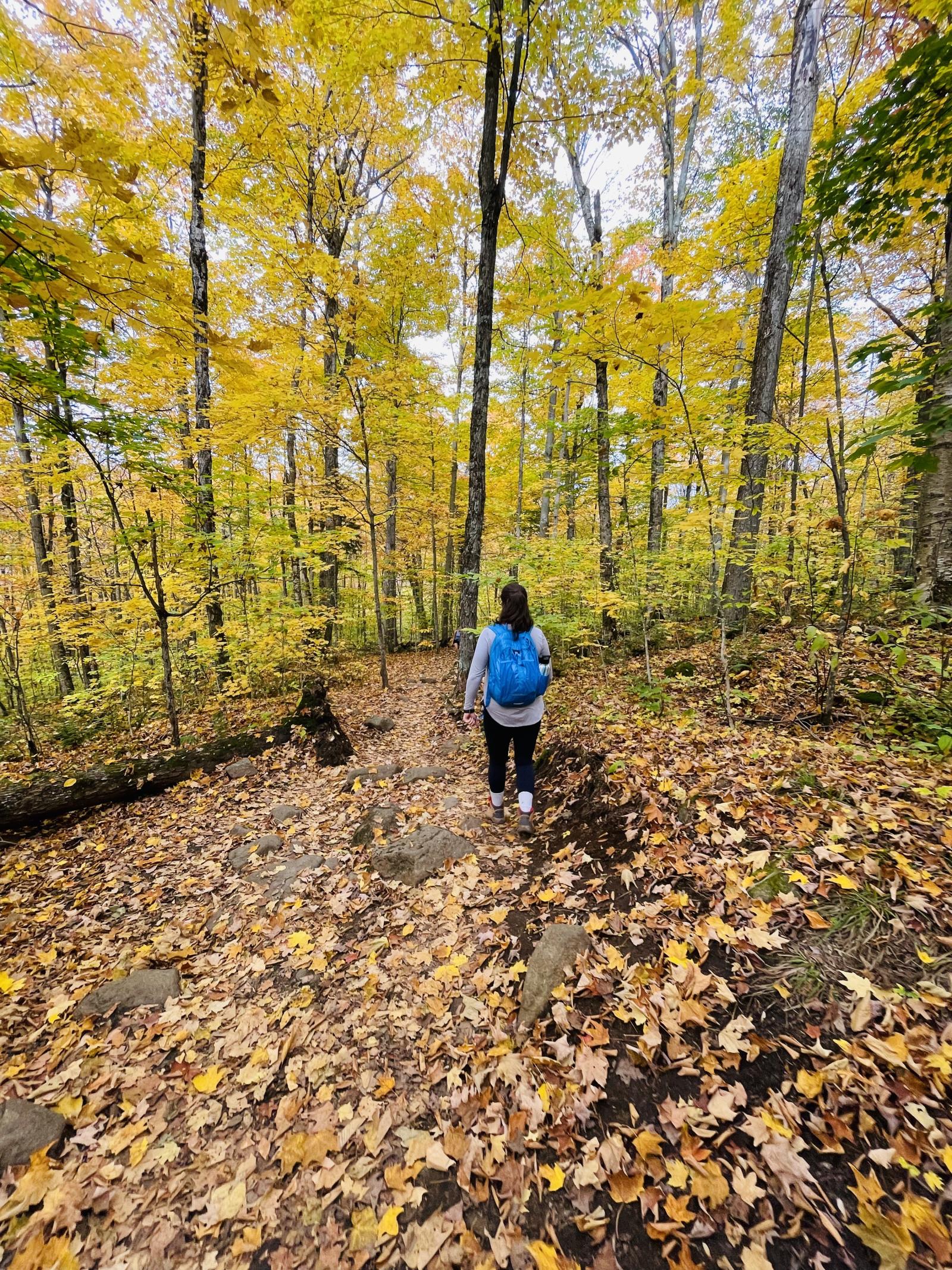 Campground Details - WILMINGTON NOTCH, NY - New York State Parks