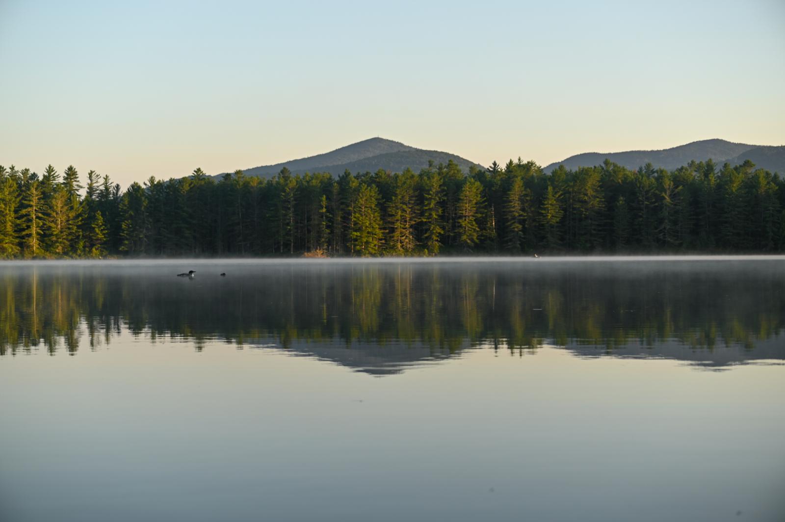 Camping This Weekend