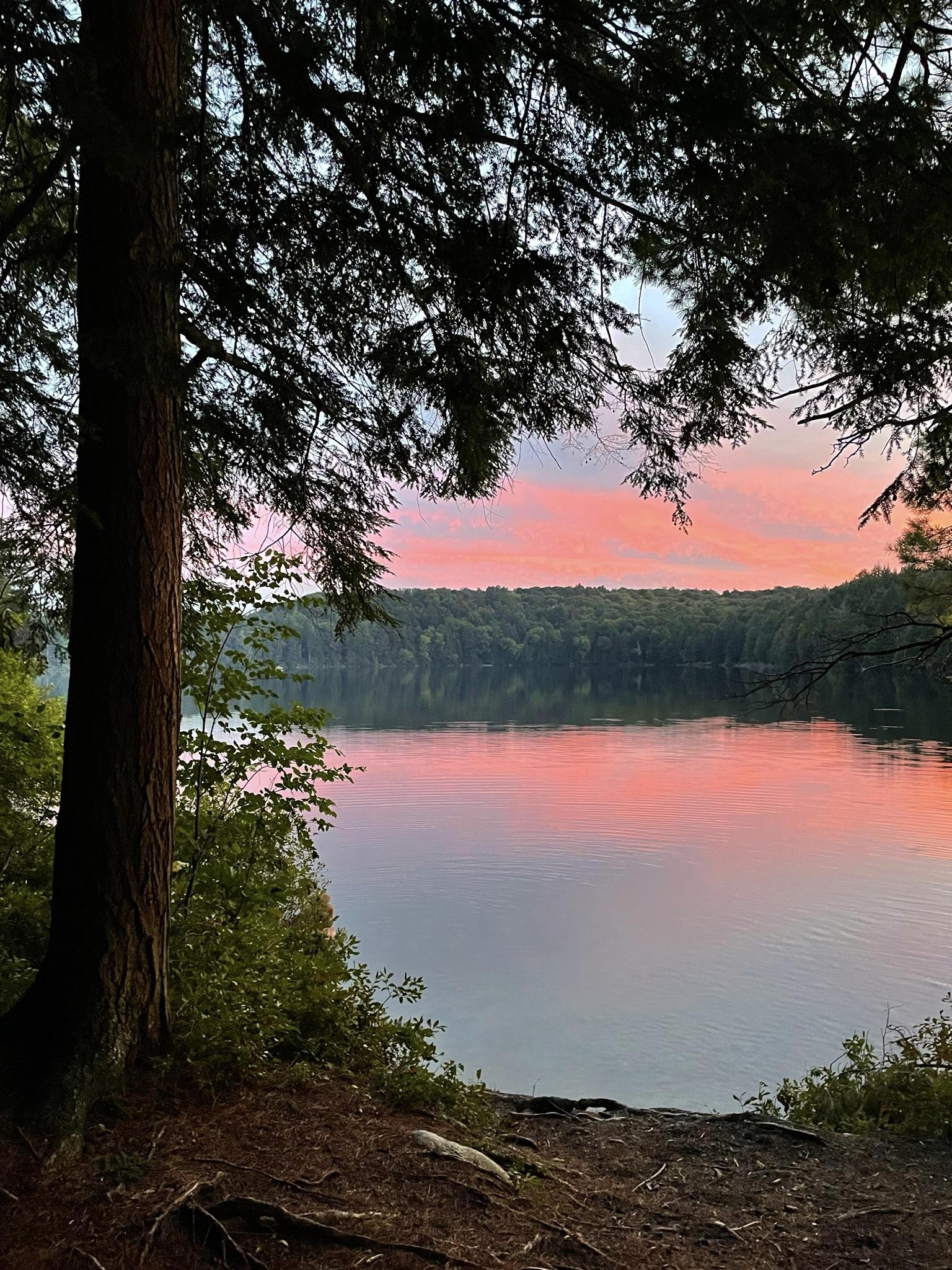 Campground Details - NICKS LAKE CAMPGROUND, NY - New York State Parks