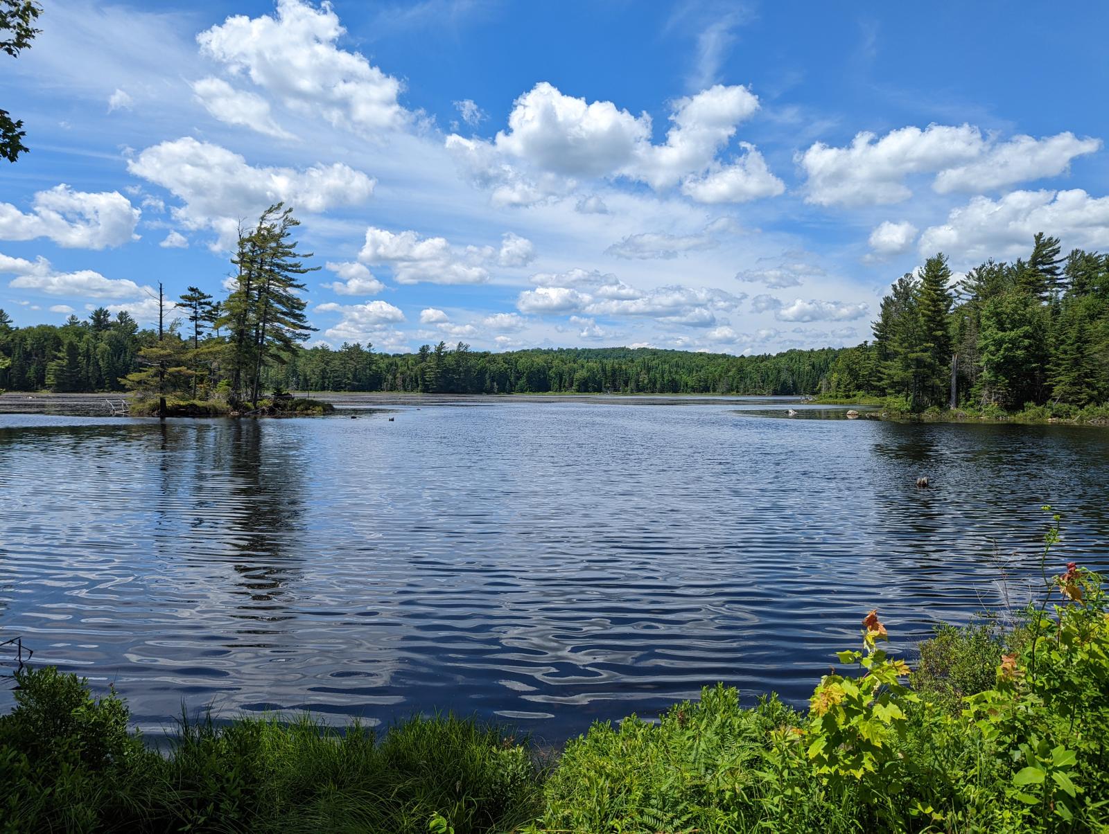 Campground Details - CRANBERRY LAKE CAMPGROUND, NY - New York State Parks