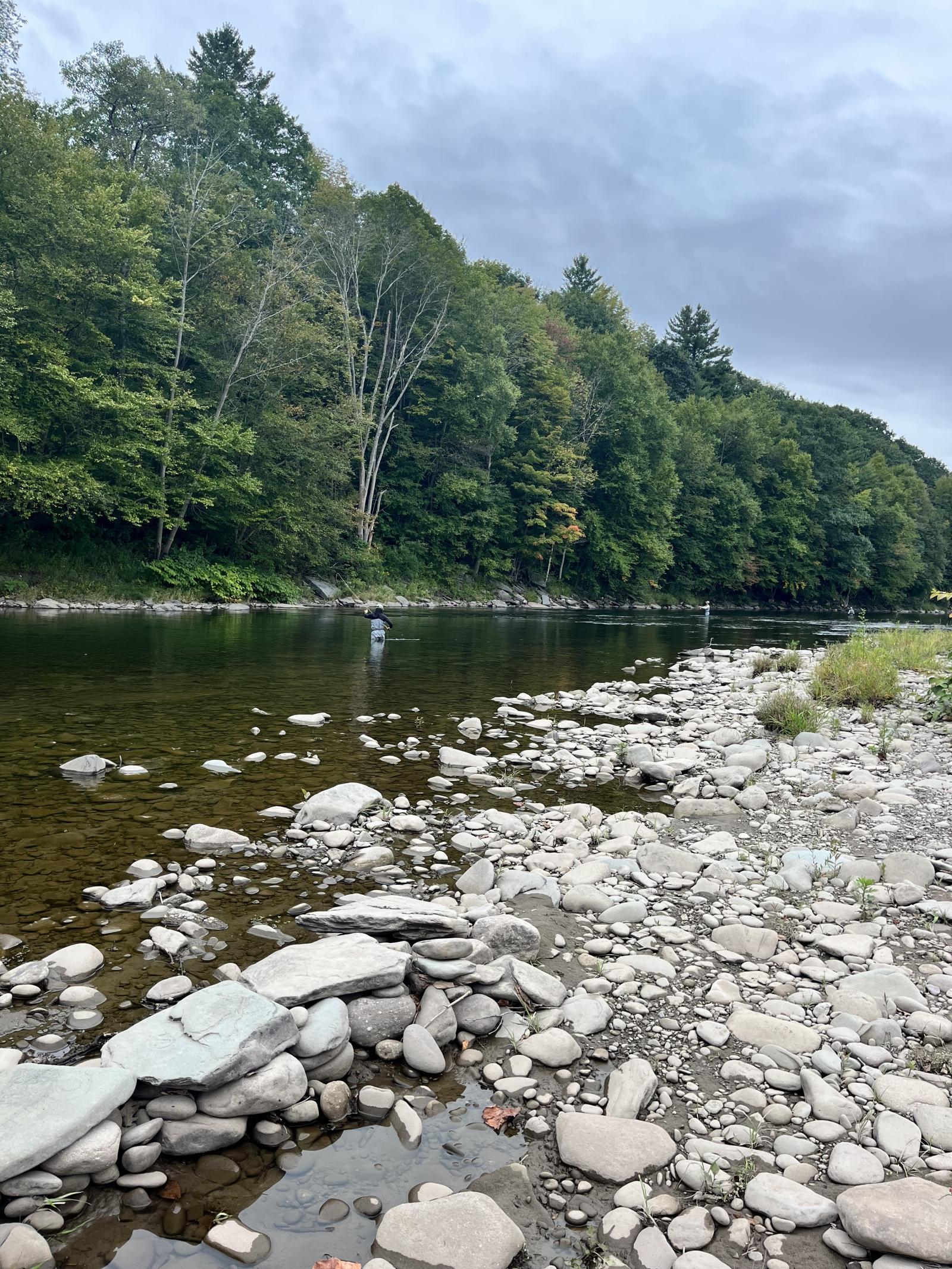 Campground Details - BEAVERKILL, NY - New York State Parks